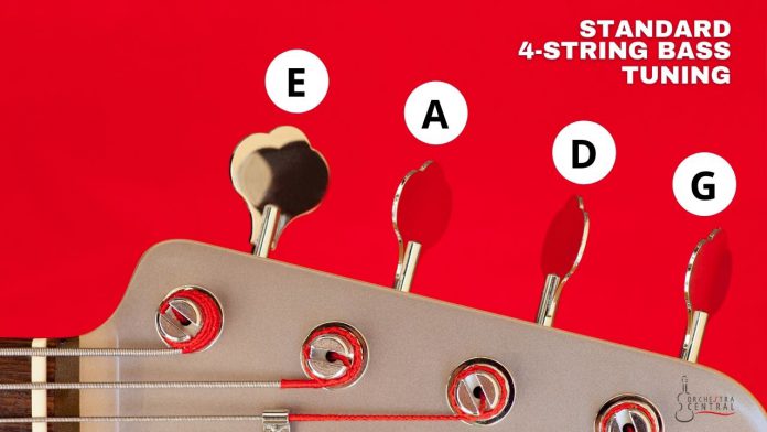 How to Learn and Play Bass Guitar Notes - Orchestra Central