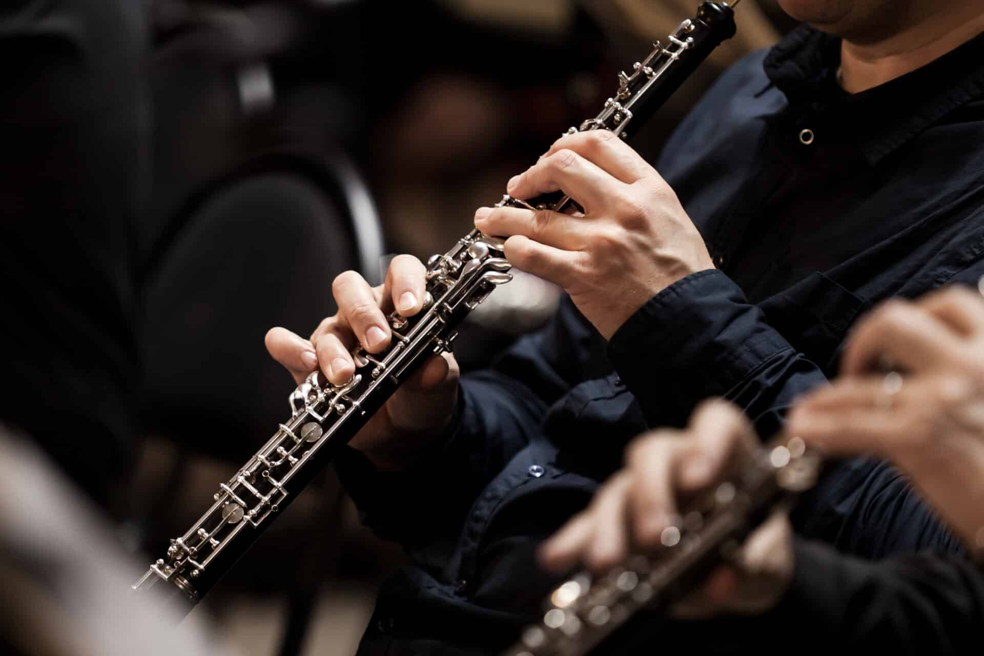 10 Hardest Musical Instruments to Learn - Orchestra Central